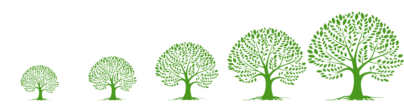 RootStocks Explained – Tom the apple man